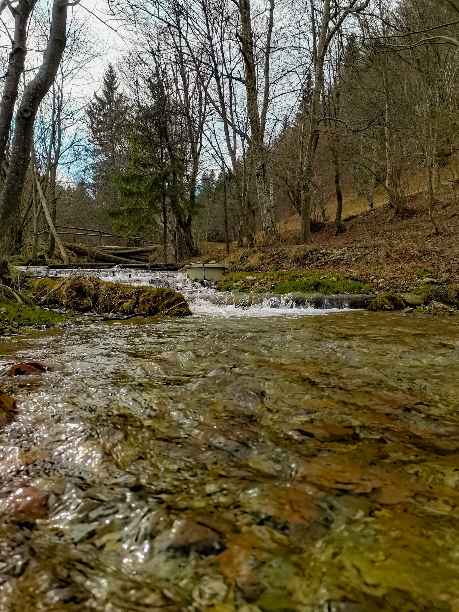 Cascada Urlatoarea (Screaming waterfall, Vama Buzaului, Romania) – Dreamer